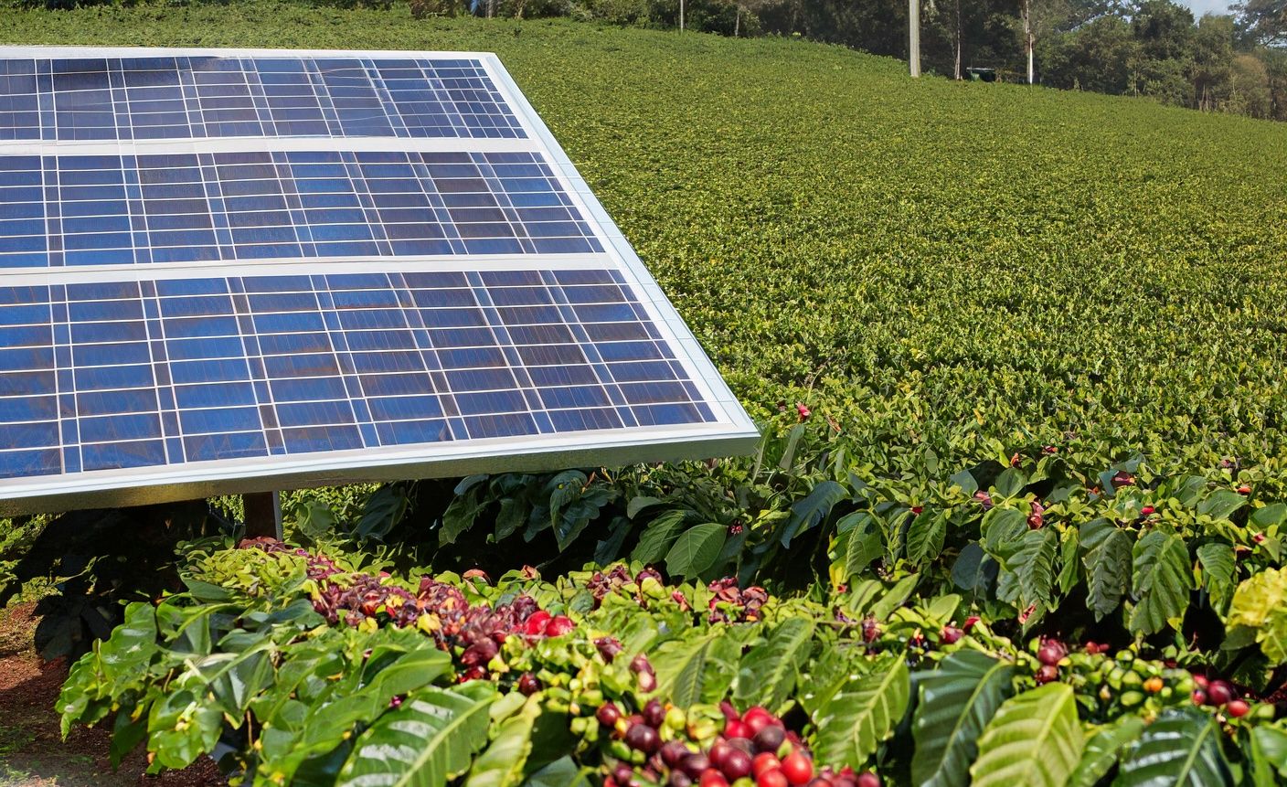 Massif Solar – Certified & Sustainable